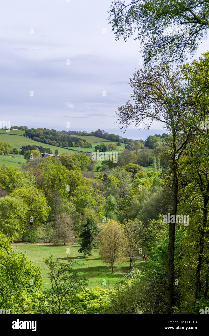 Scenic sunlit countryside hi-res stock photography and images - Alamy
