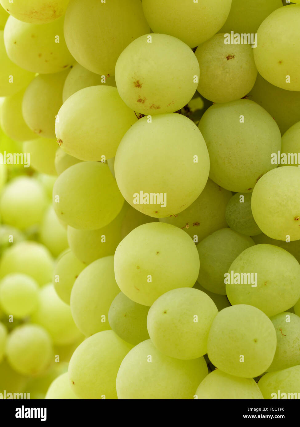 Extreme Close Up Of Grapes Stock Photo - Alamy