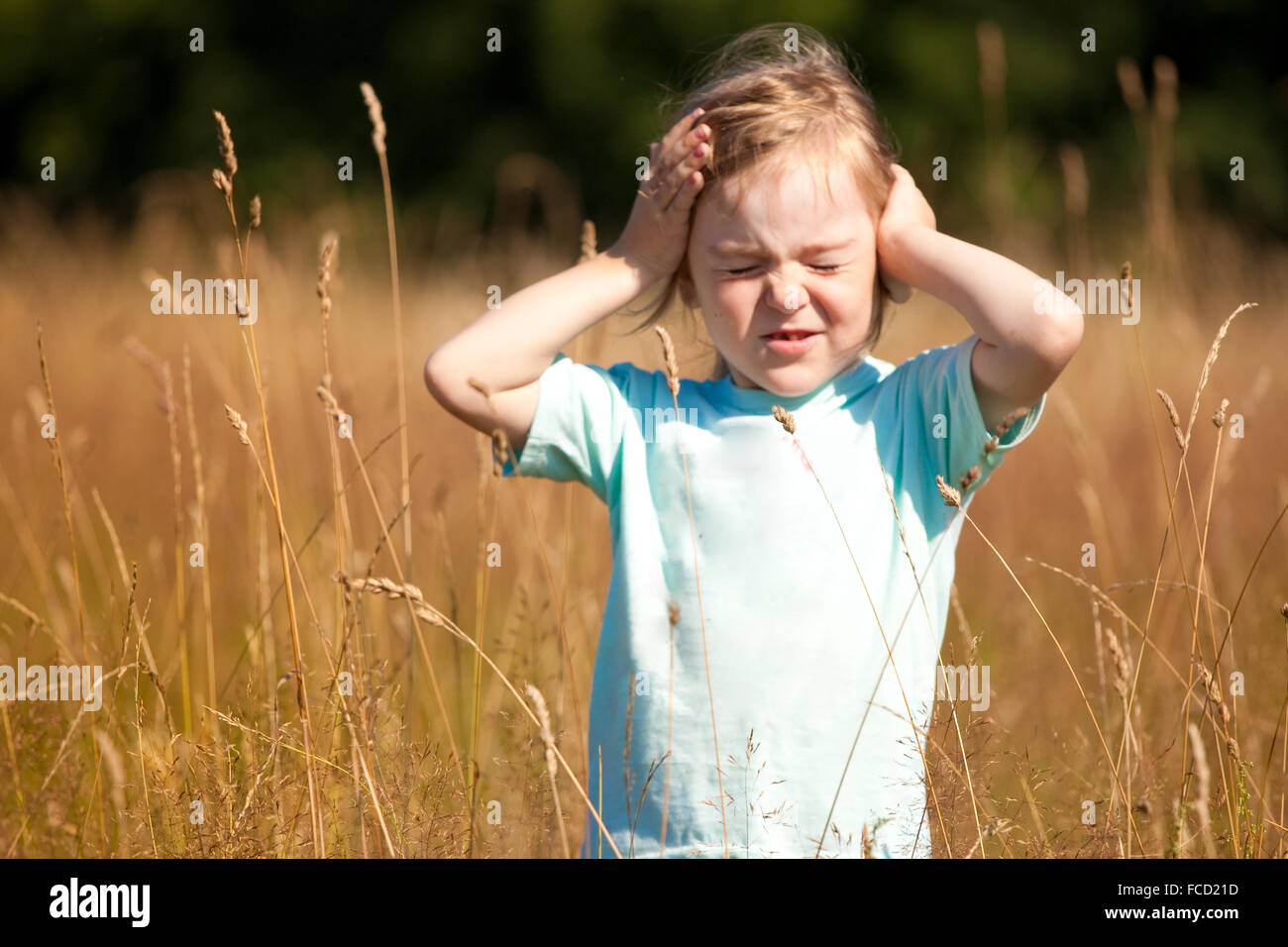 A child in the field Stock Photo - Alamy