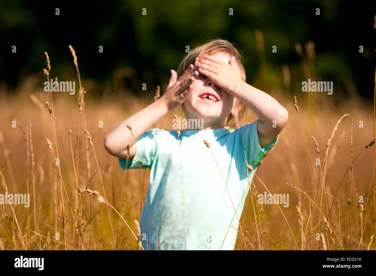 A child in the field Stock Photo - Alamy