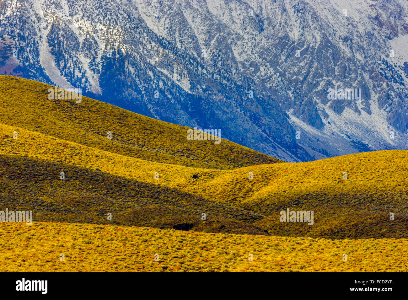 Sierra Nevada area, California Stock Photo - Alamy