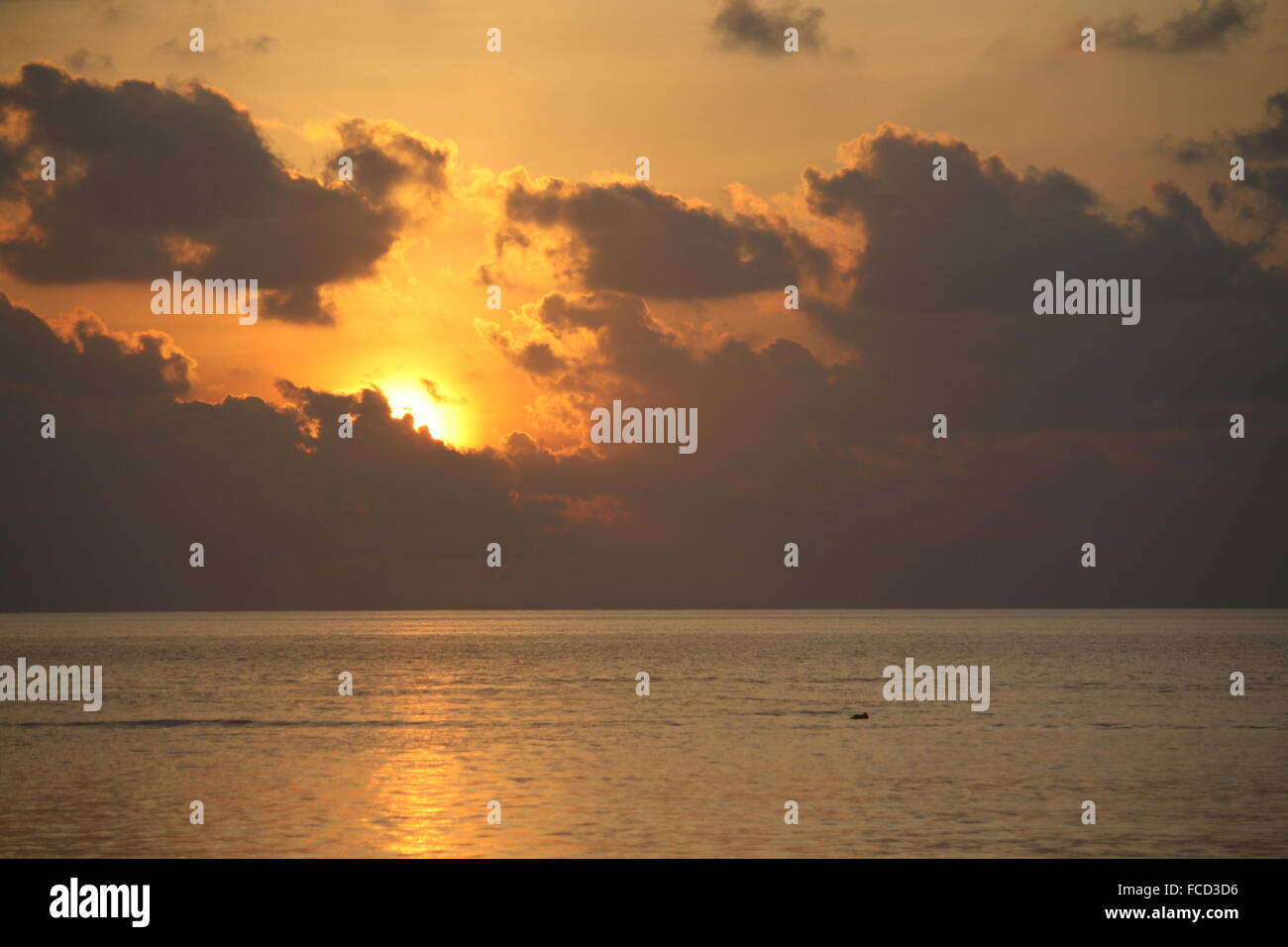 Sunlight reflecting of water hi-res stock photography and images - Alamy