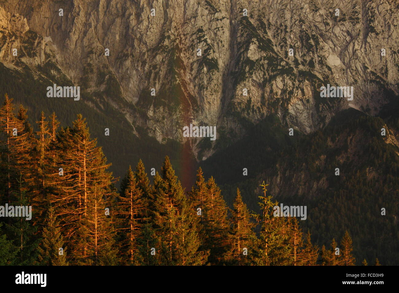 Steep forest hi-res stock photography and images - Alamy