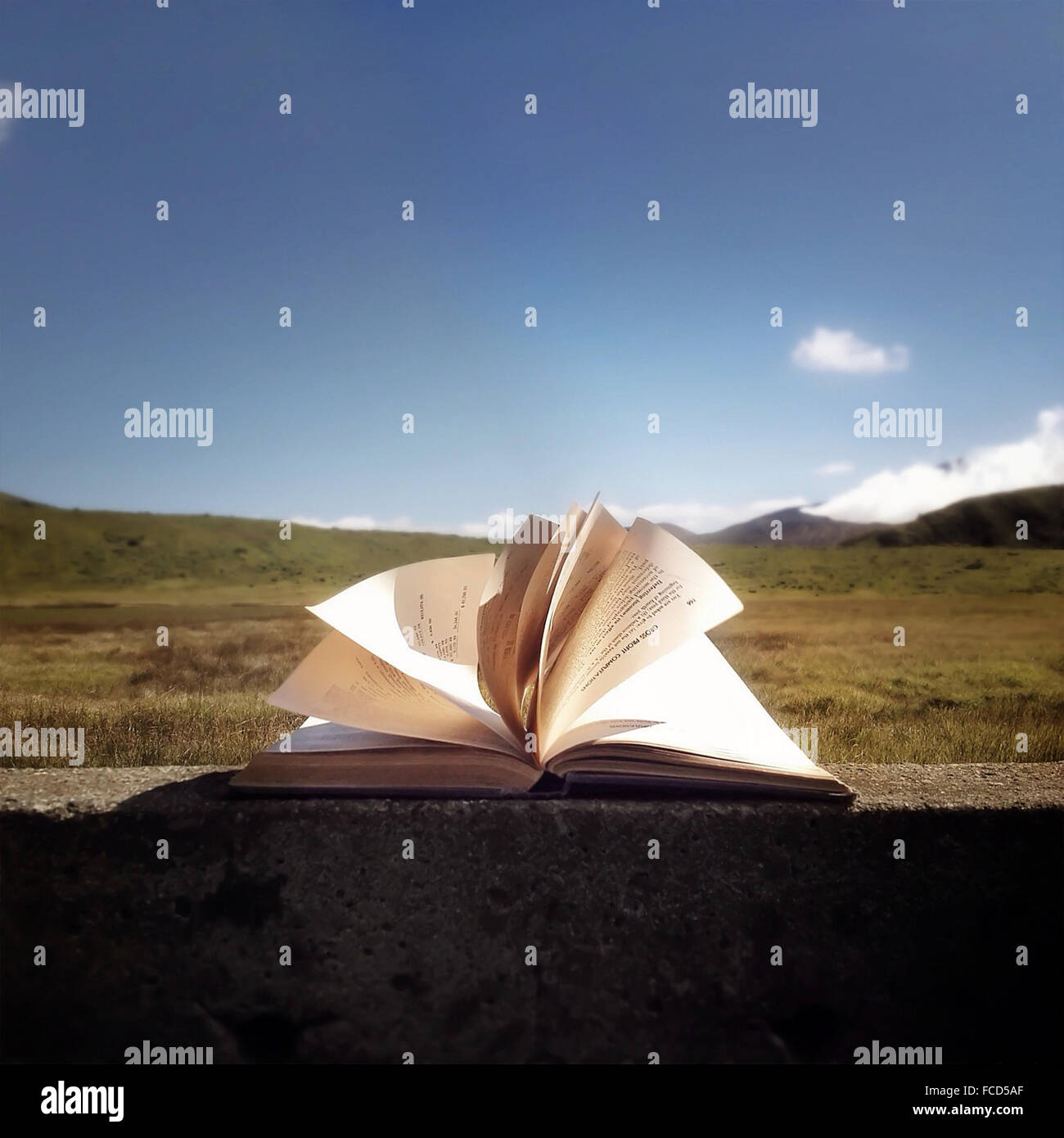 Open sky landscape hi-res stock photography and images - Alamy