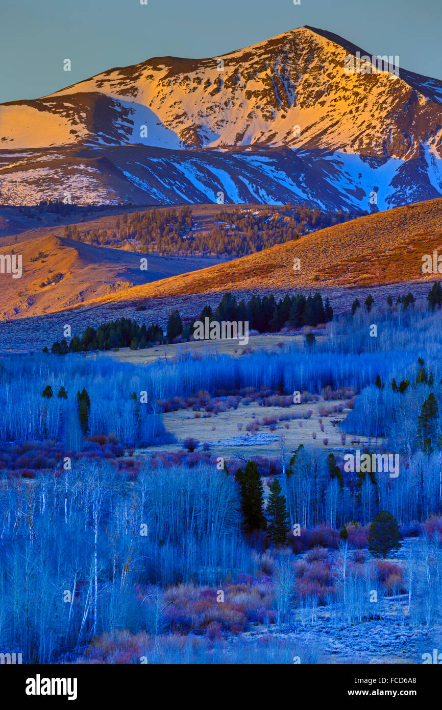 View of Mount Warren in the Sierra Nevada at sunrise from route 395 ...
