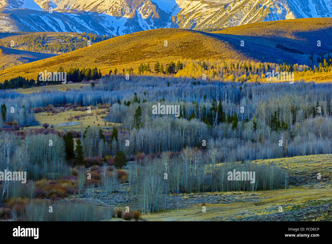 Mount warren hi-res stock photography and images - Alamy