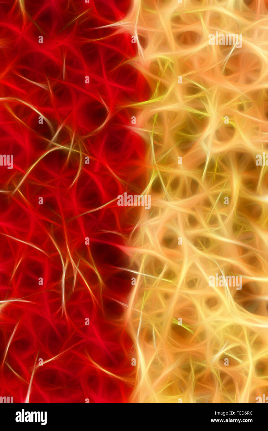 Fractalius hi-res stock photography and images - Alamy