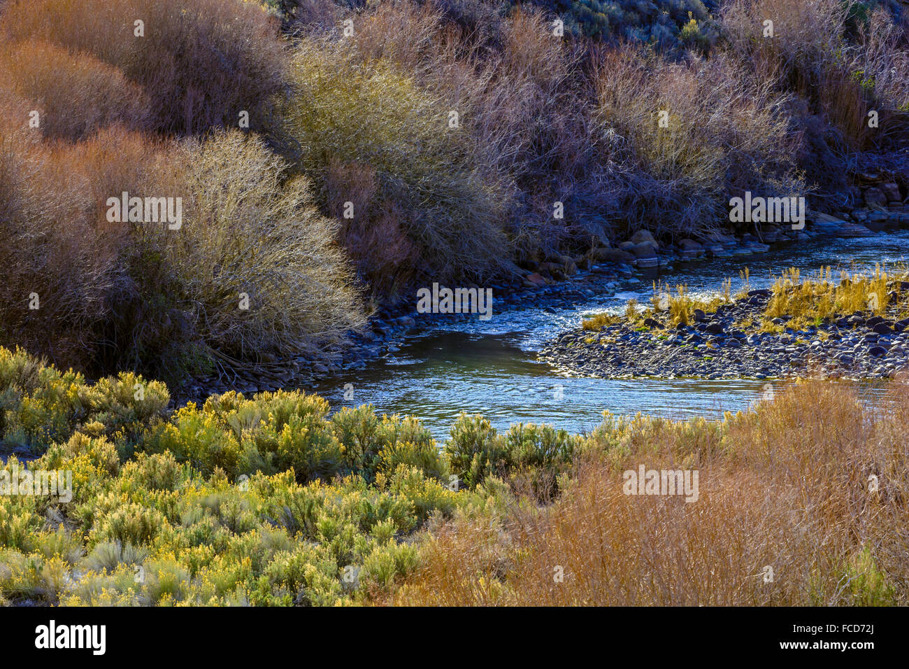 East walker river hi-res stock photography and images - Alamy