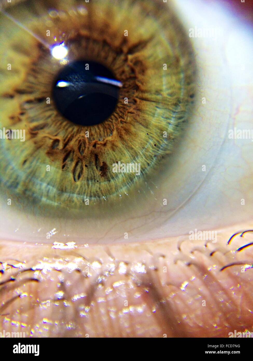 His Eye High Resolution Stock Photography and Images - Alamy
