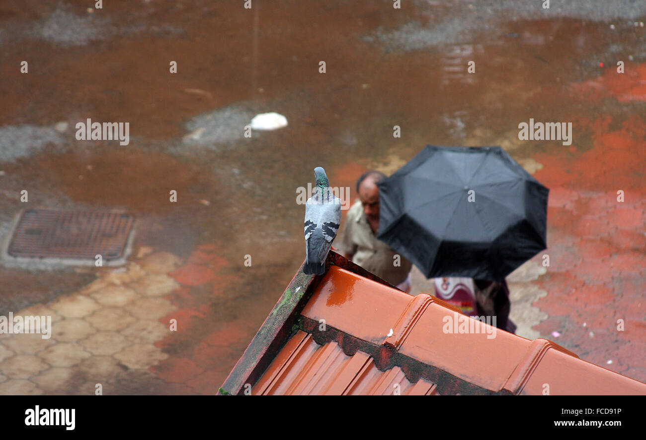 Two people under umbrella hi-res stock photography and images - Alamy