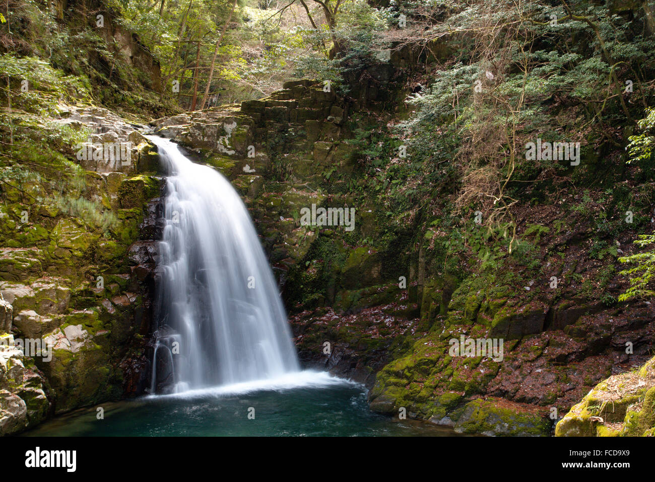 Japan, Muro Akame Aoyama National Park. Fudoi waterfall, side-view ...