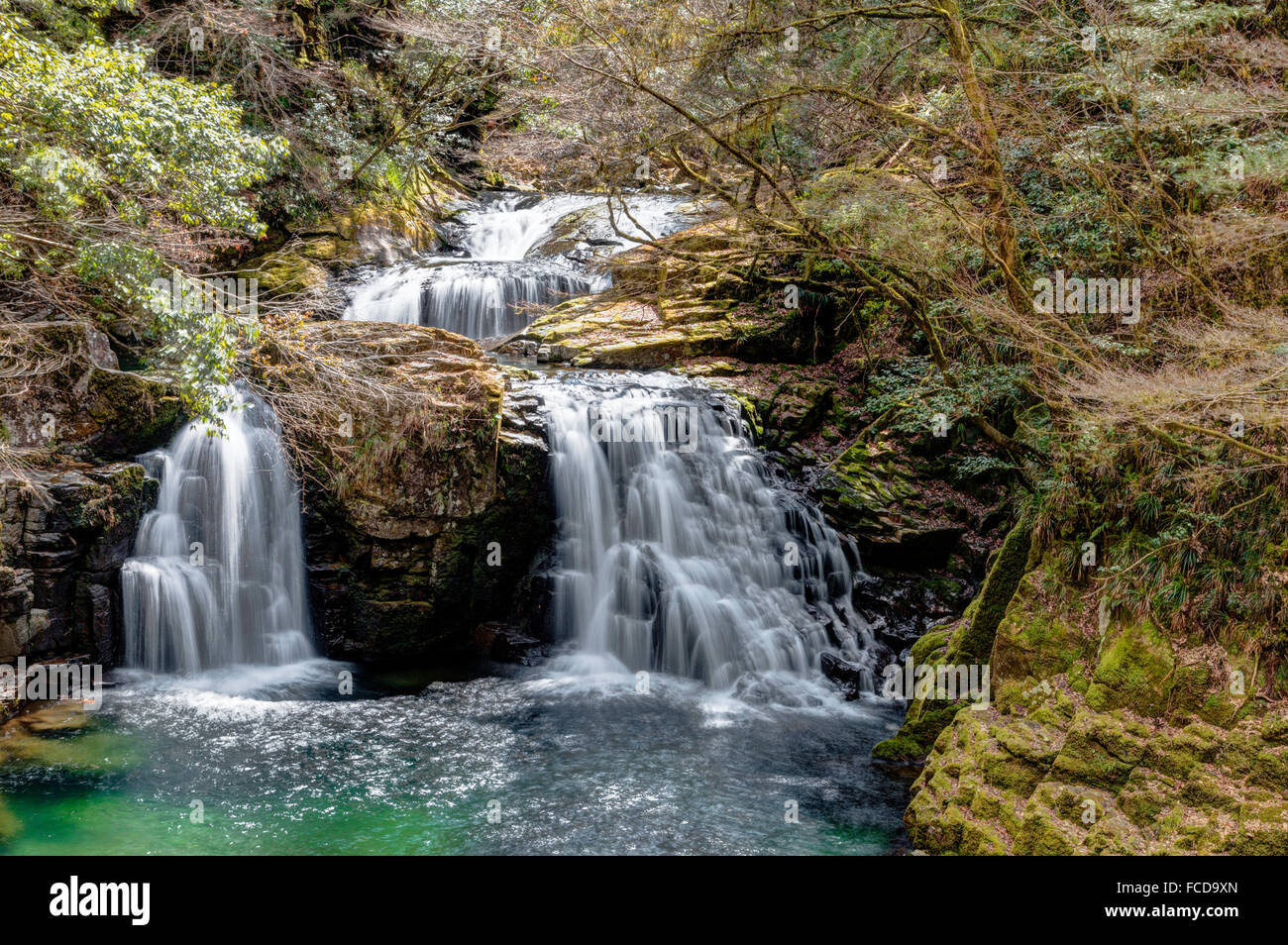 Japan, Muro Akame Aoyama National Park. Ninai double waterfall, water ...