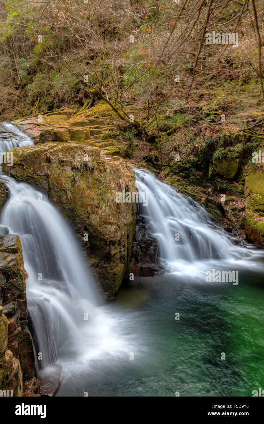 Japan, Muro Akame Aoyama National Park. Ninai double waterfall, water ...