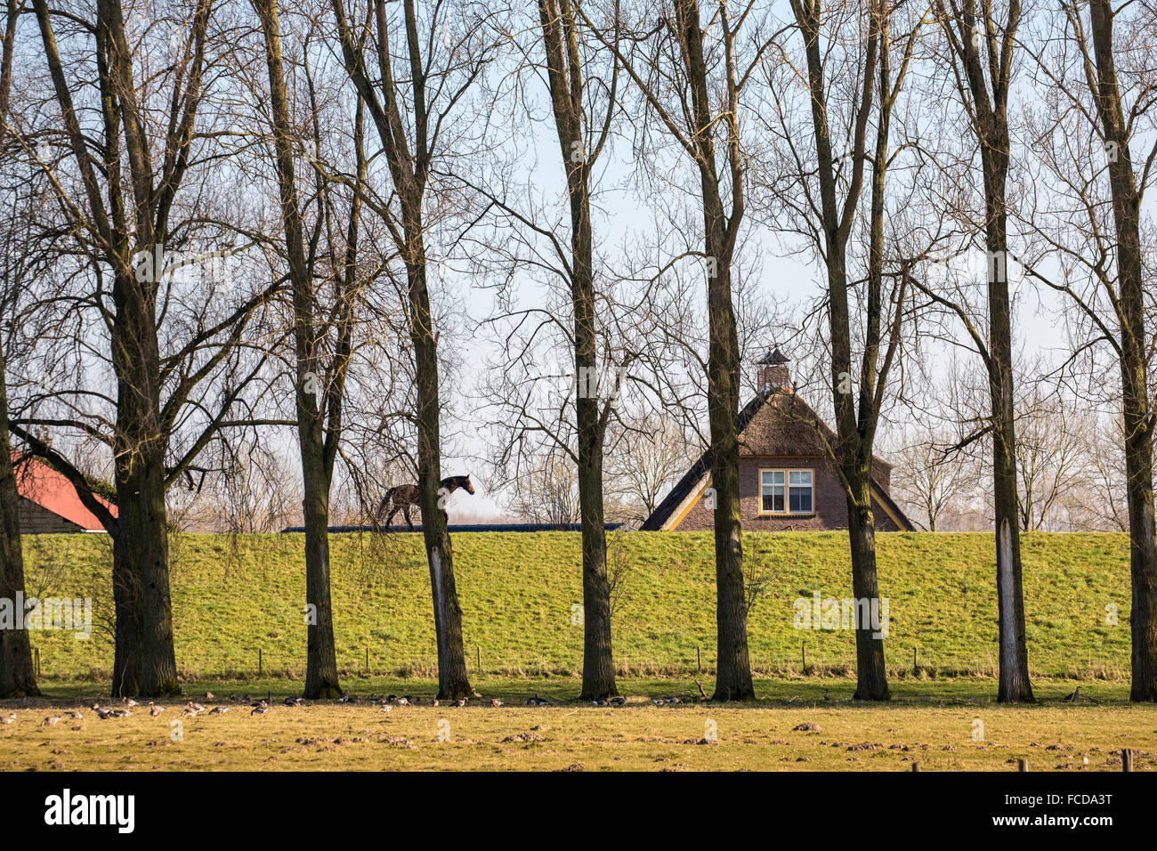 River Dike Stock Photos & River Dike Stock Images - Alamy