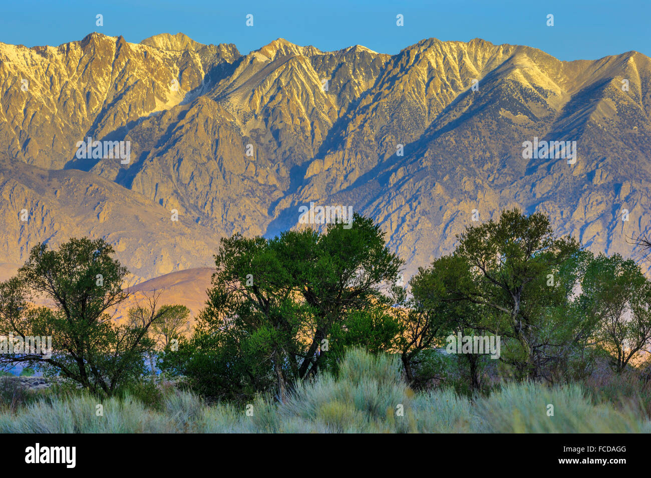 Owens Valley and Sierra Nevada Range at sunrise, California Stock Photo ...