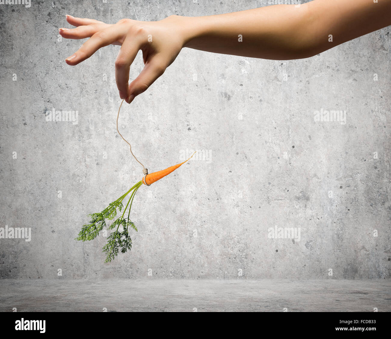 Dangle carrot hi-res stock photography and images - Alamy