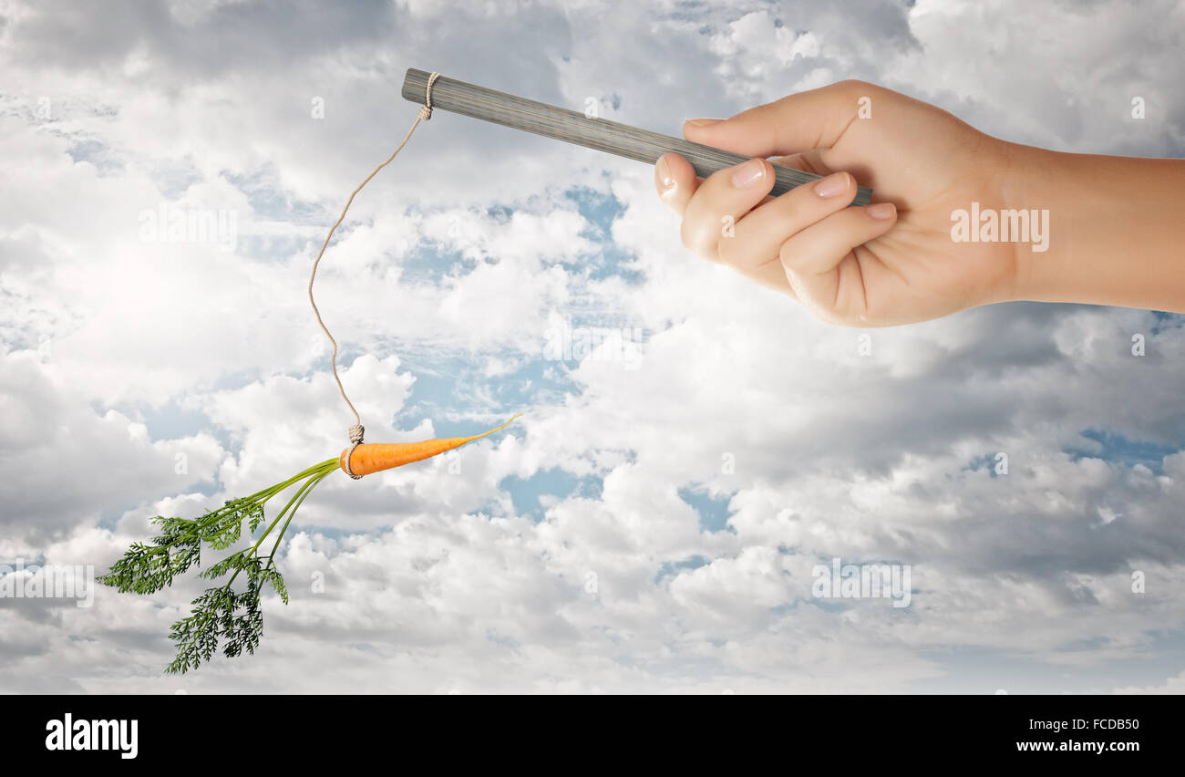 Close up of hand holding stick with carrot dangling on rope Stock Photo ...