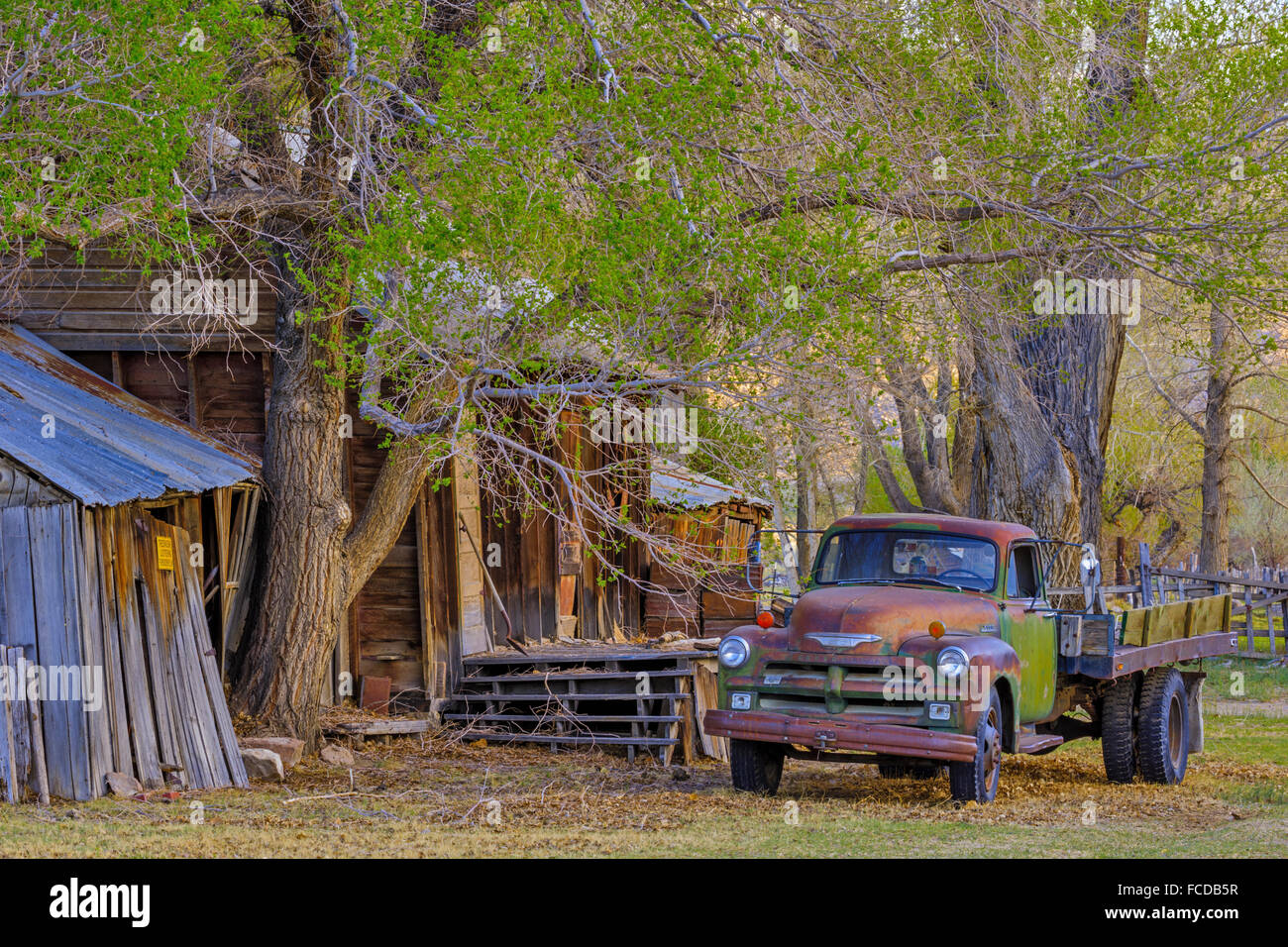 Farm truck relic hi-res stock photography and images - Alamy