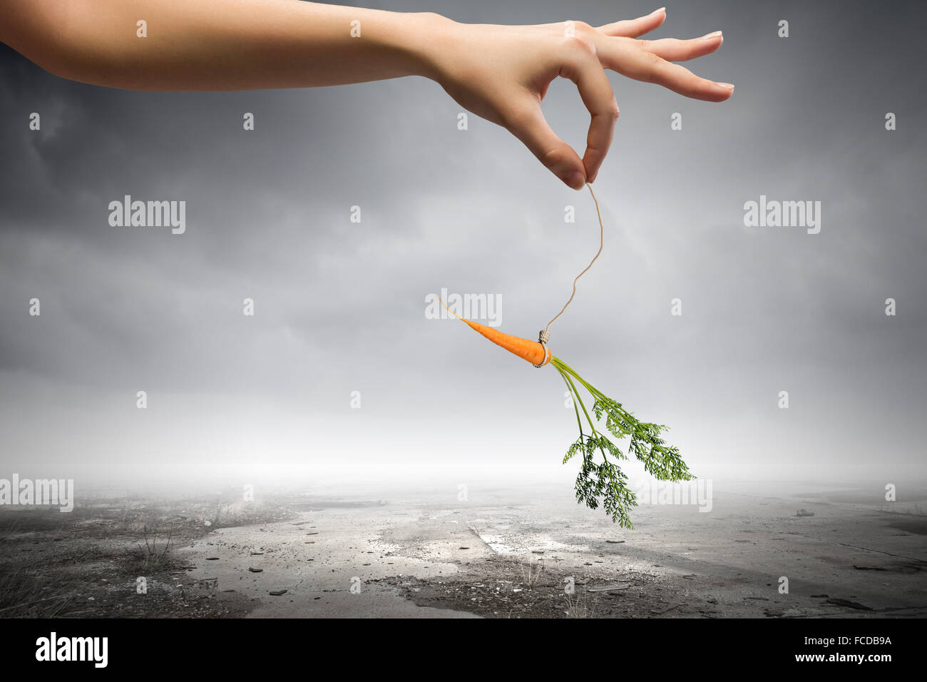 Dangle carrot hi-res stock photography and images - Alamy