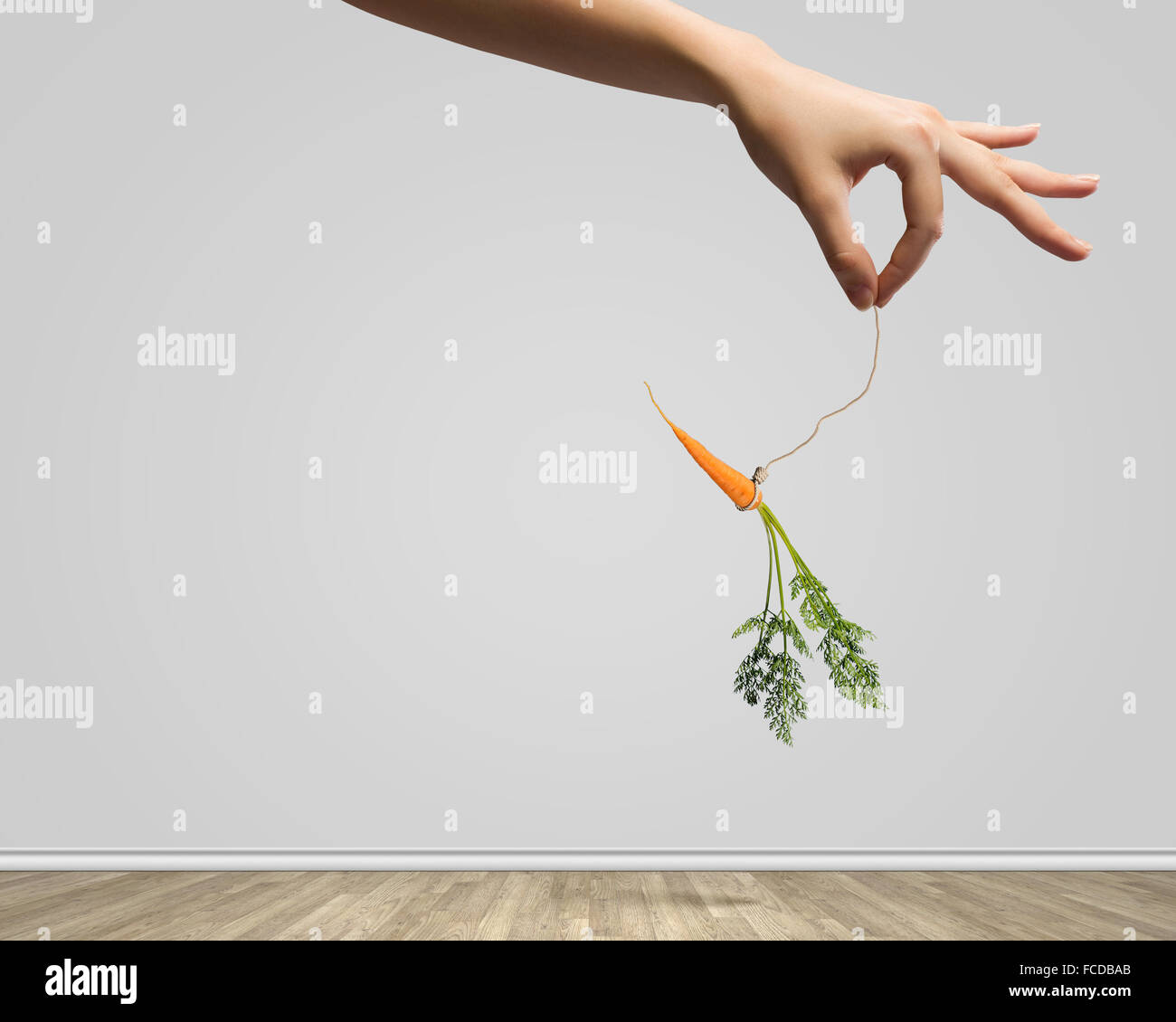 Close up of hand holding stick with carrot dangling on rope Stock Photo ...