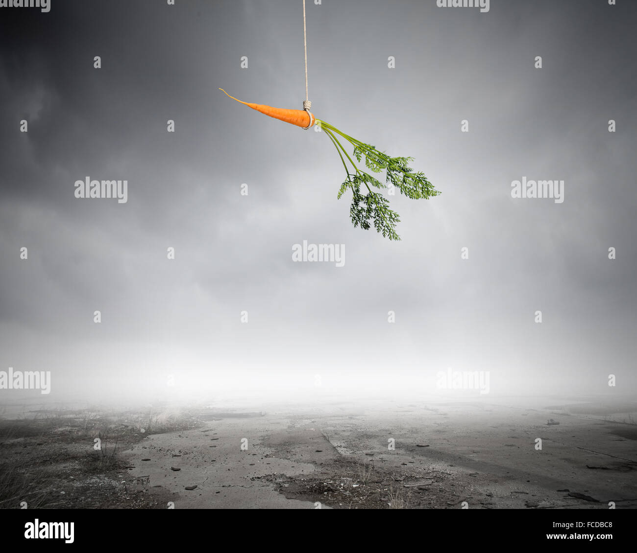 Dangling a carrot hi-res stock photography and images - Alamy