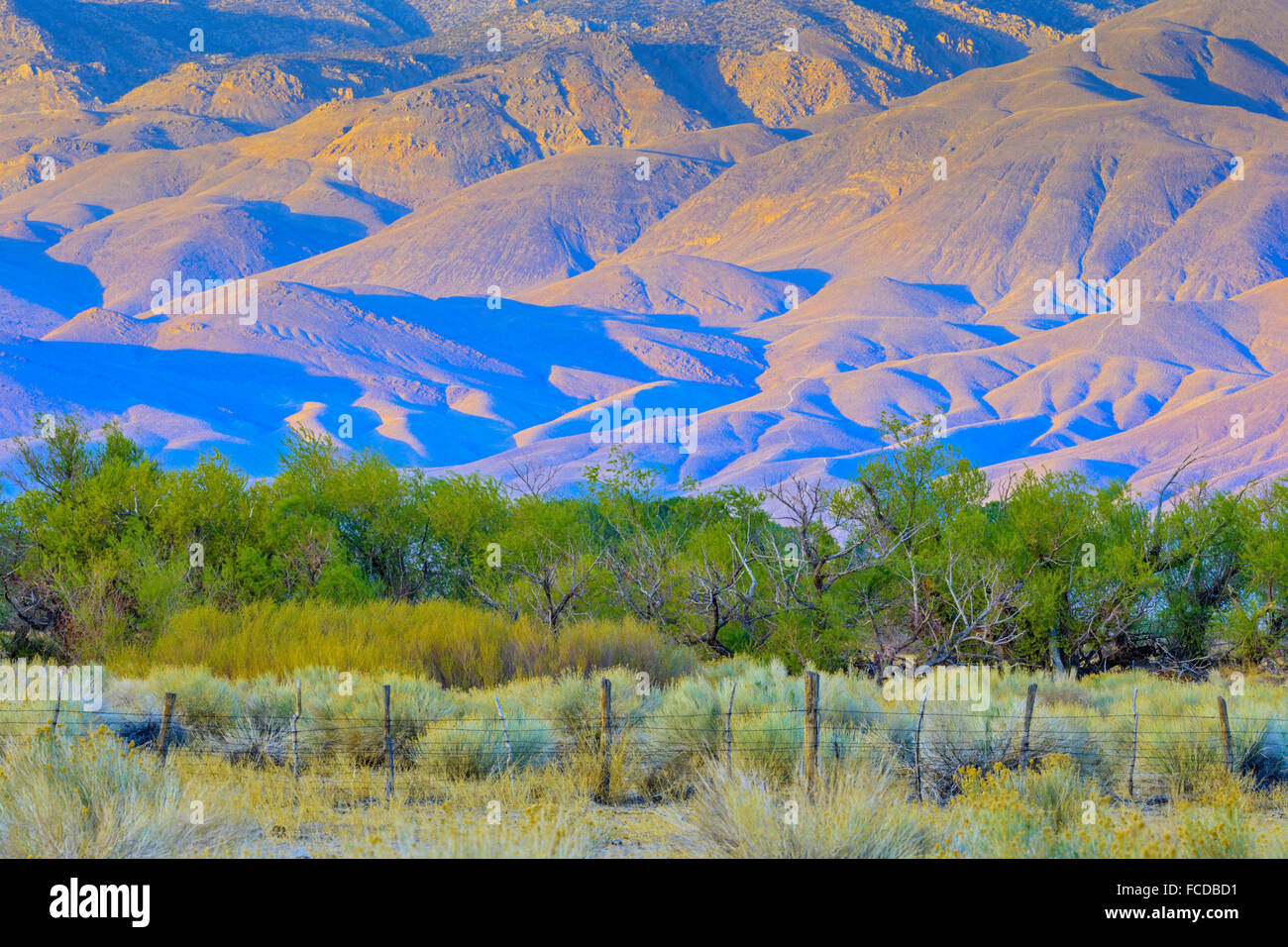 Nevada ranching hi-res stock photography and images - Alamy