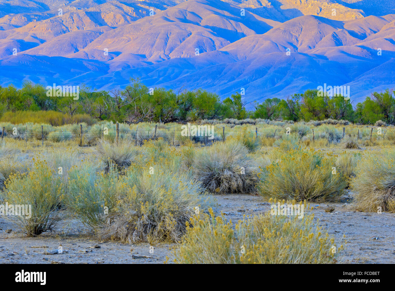 Nevada ranching hi-res stock photography and images - Alamy