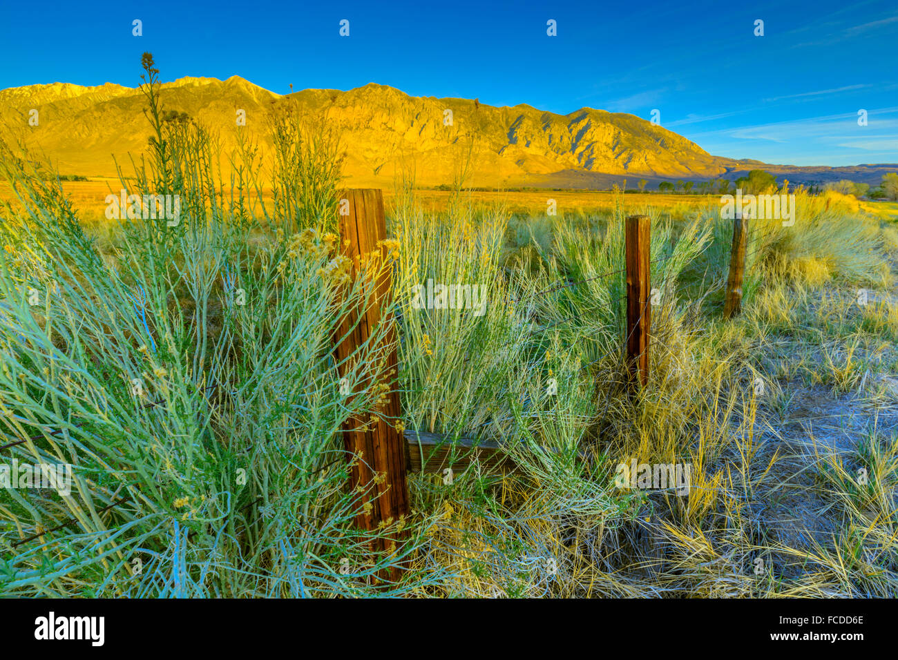 Grazing mountainous natural open spaces range range land remote rural ...