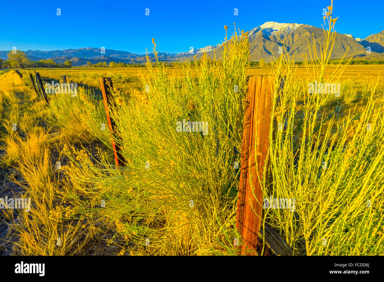 Grazing mountainous natural open spaces range land remote rural hi-res ...