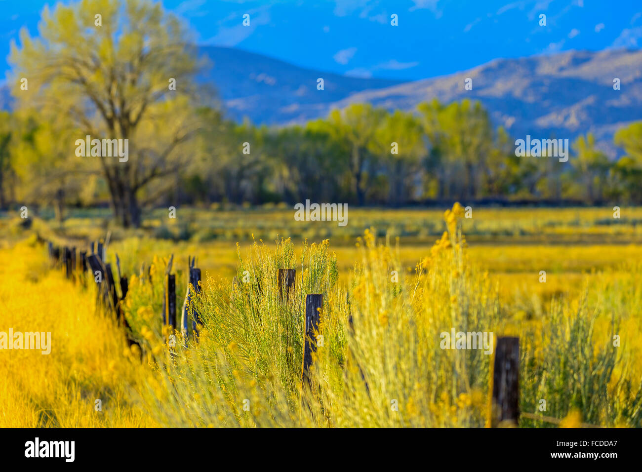 Morning in owens valley hi-res stock photography and images - Alamy