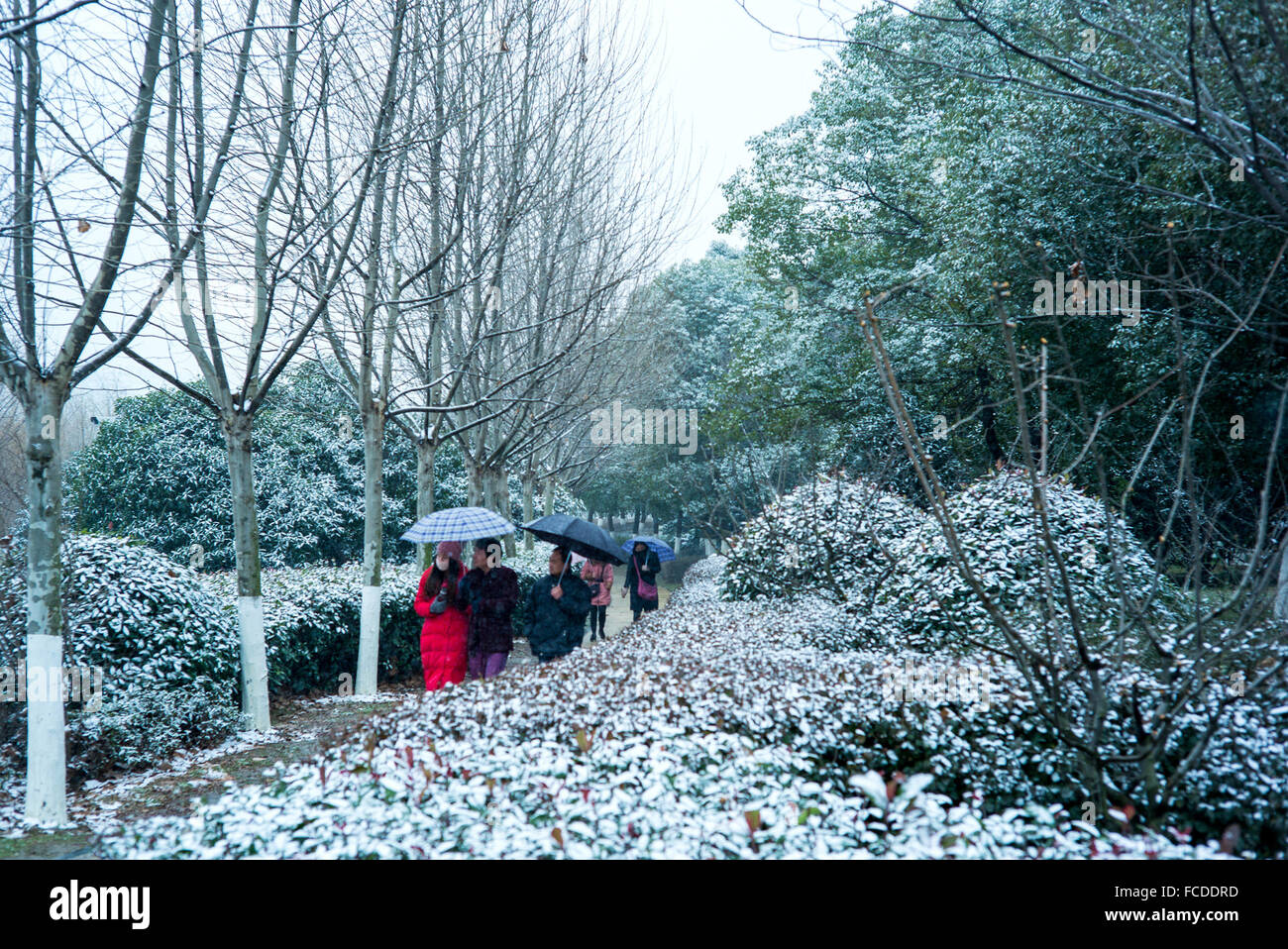 Hefei, China's Anhui Province. 22nd Jan, 2016. People walk in snow in ...