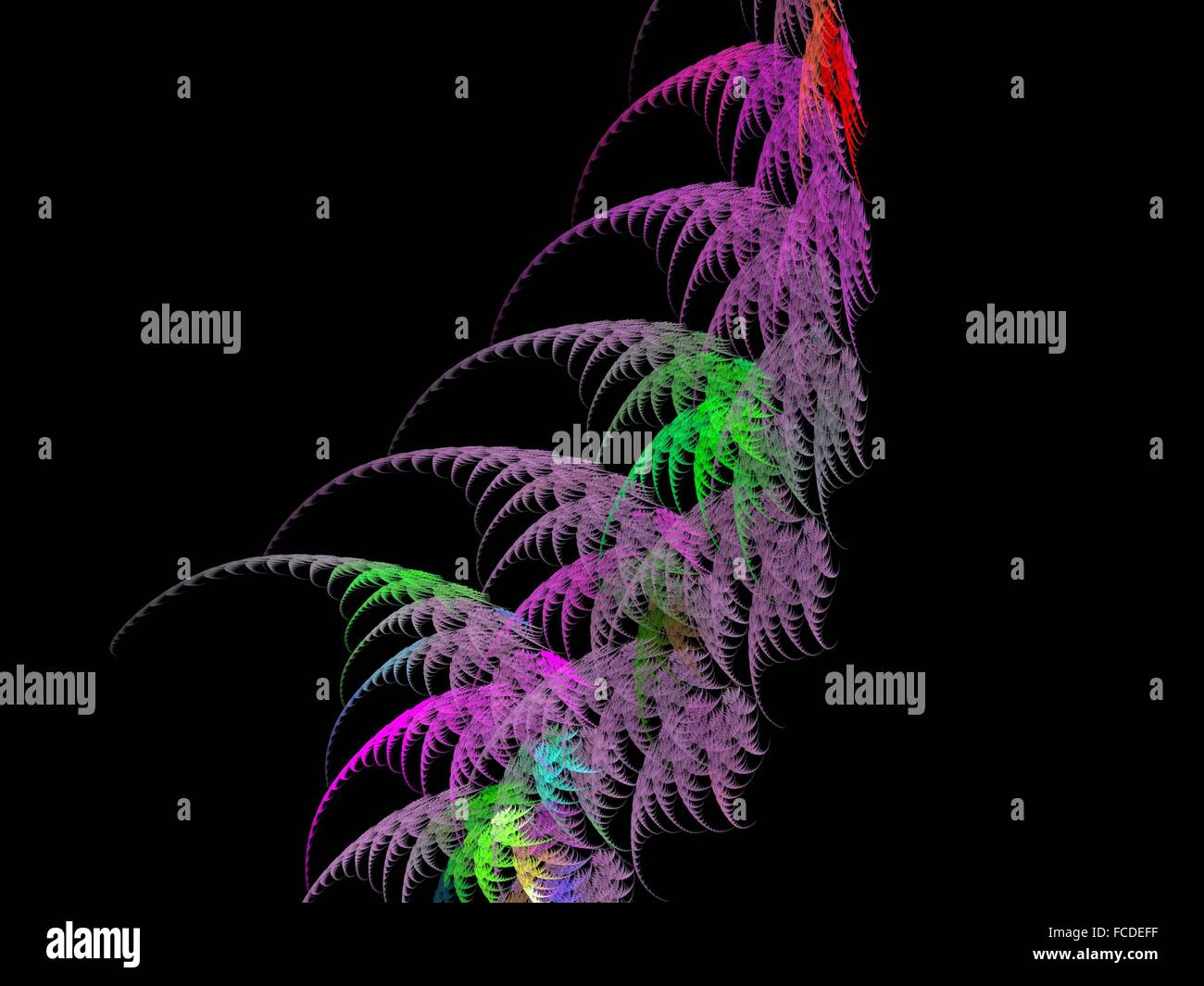 Fractal branch hi-res stock photography and images - Alamy