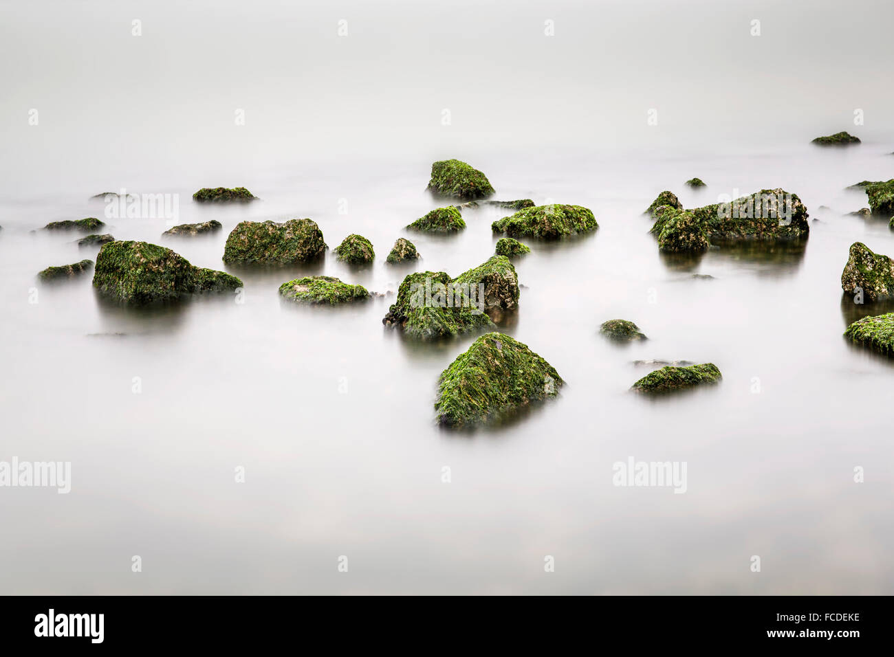 Moss On Stones High Resolution Stock Photography and Images - Alamy