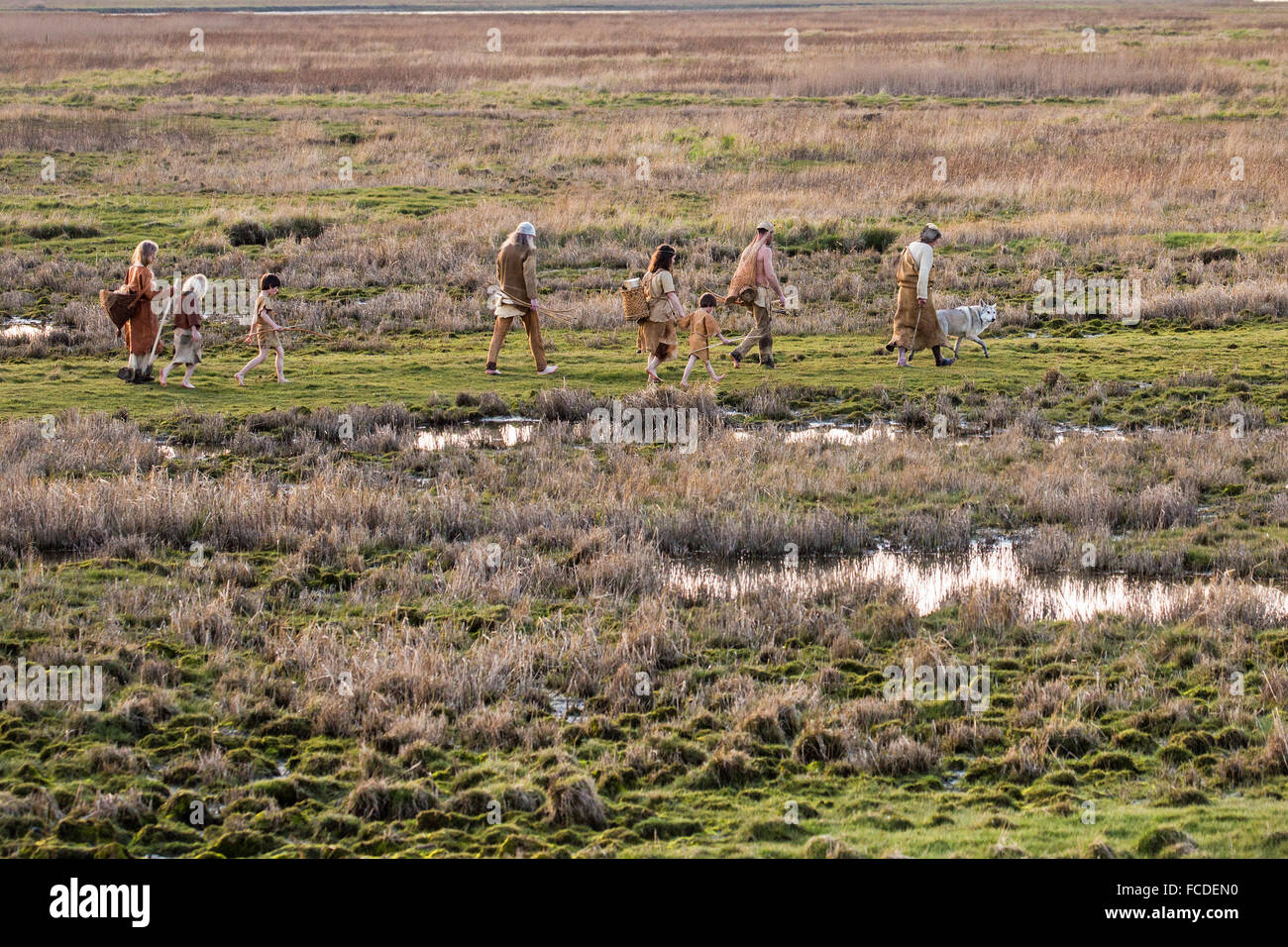Netherlands, Nieuw Namen, Westerschelde river. Nature reserve ...