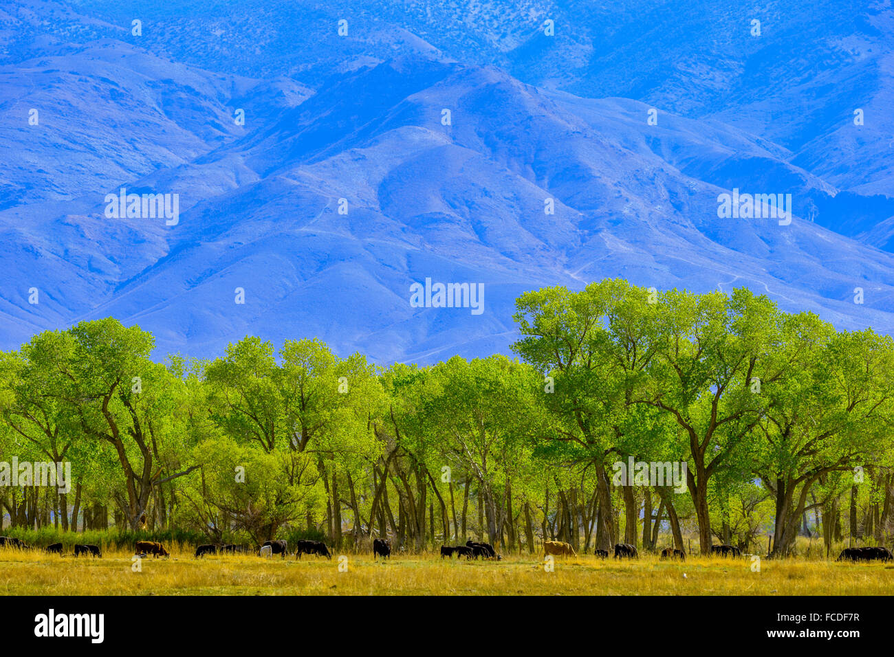 Remote lands of california hi-res stock photography and images - Alamy