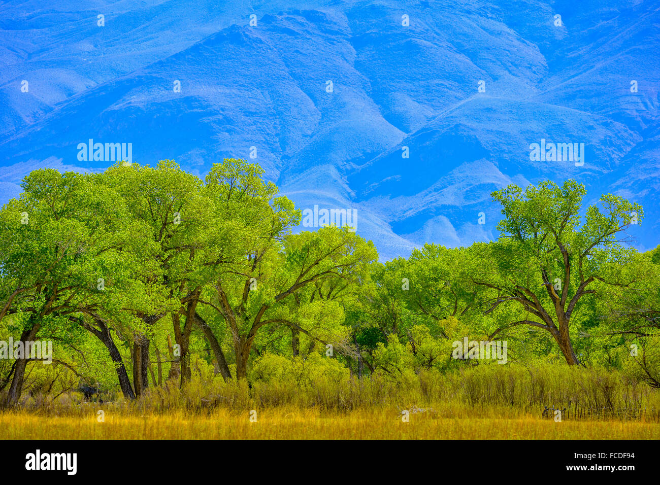 Owens Valley and Sierra Nevada Range, California Stock Photo - Alamy