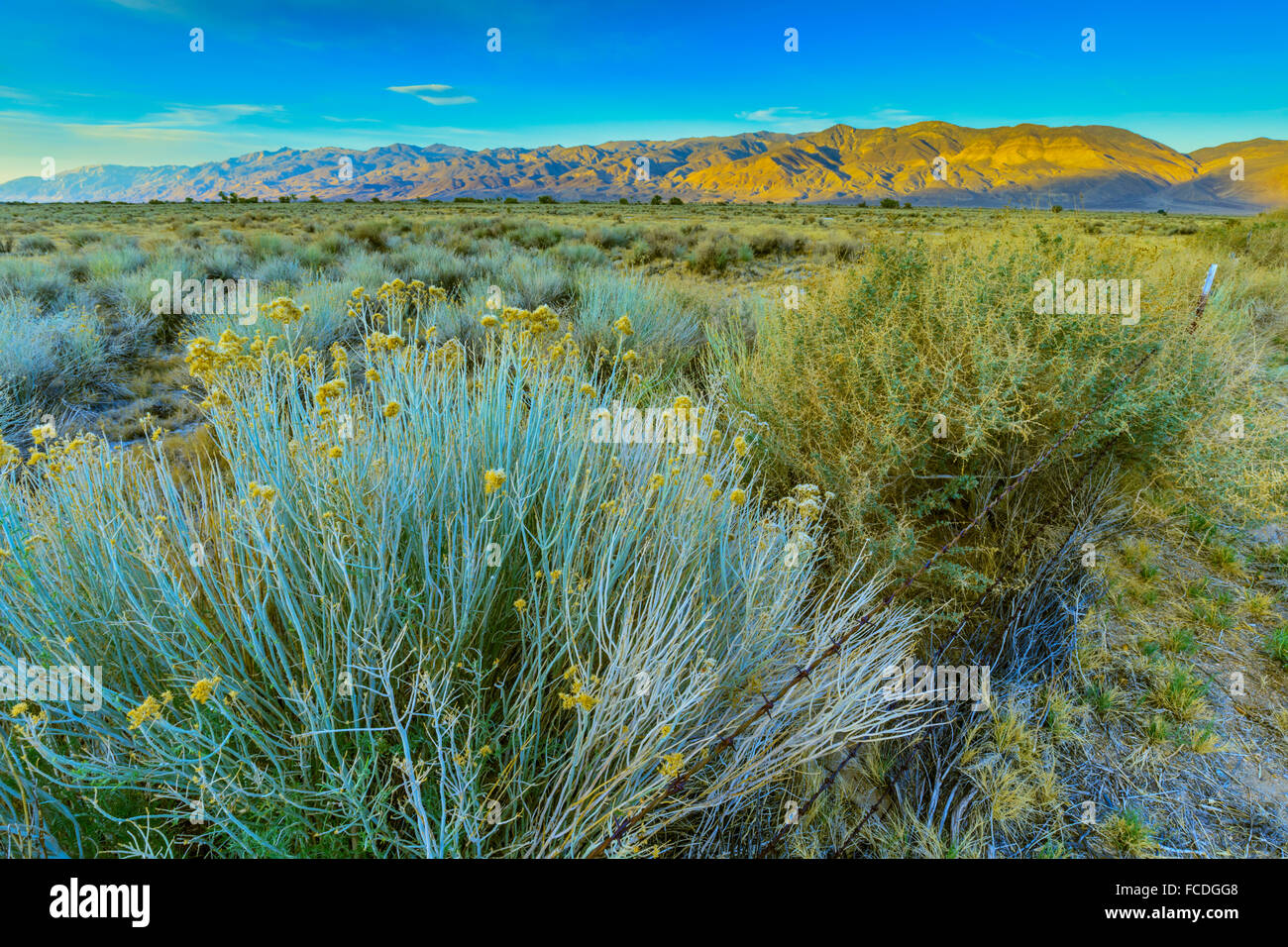 Grazing mountainous natural open spaces range land remote rural hi-res ...