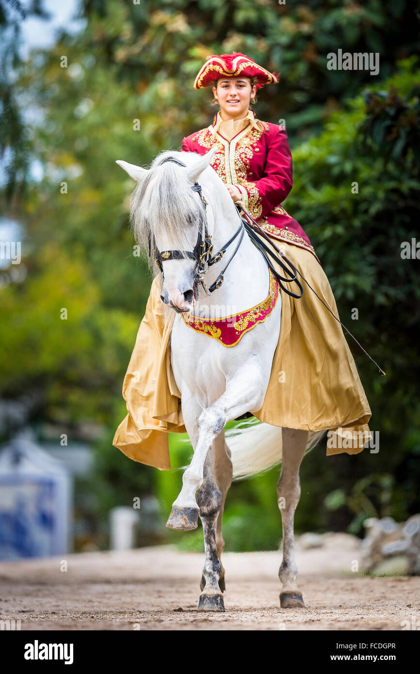 Lusitano. Gray stallion with rider in baroque costume performing the ...