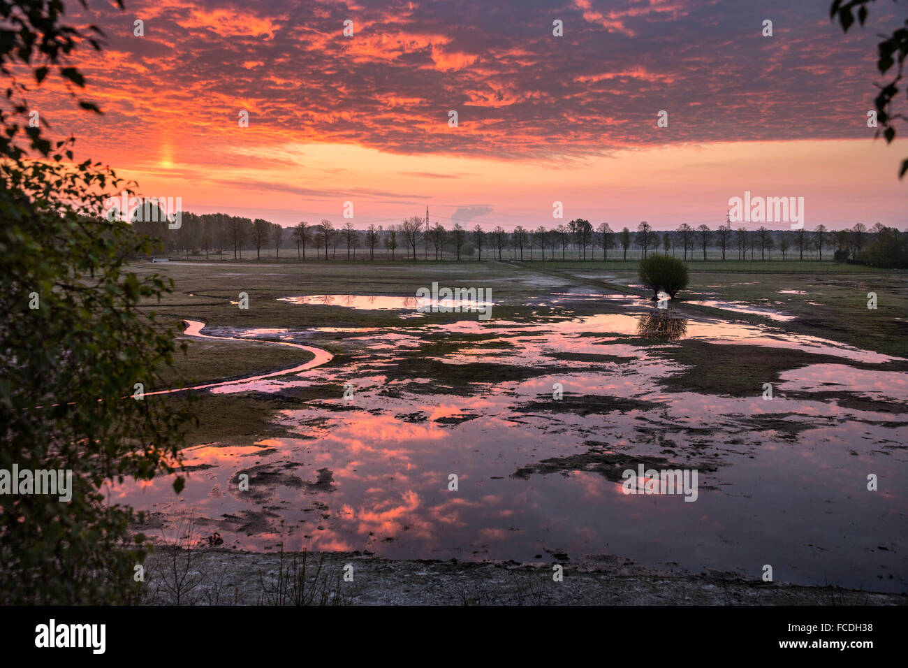 Netherlands, Schinveld, Nature reserve Roode Beek. Wetland. Sunrise ...