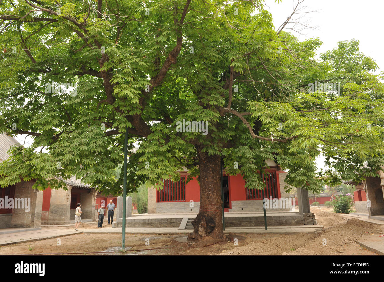Henan , jiyuan hi-res stock photography and images - Alamy