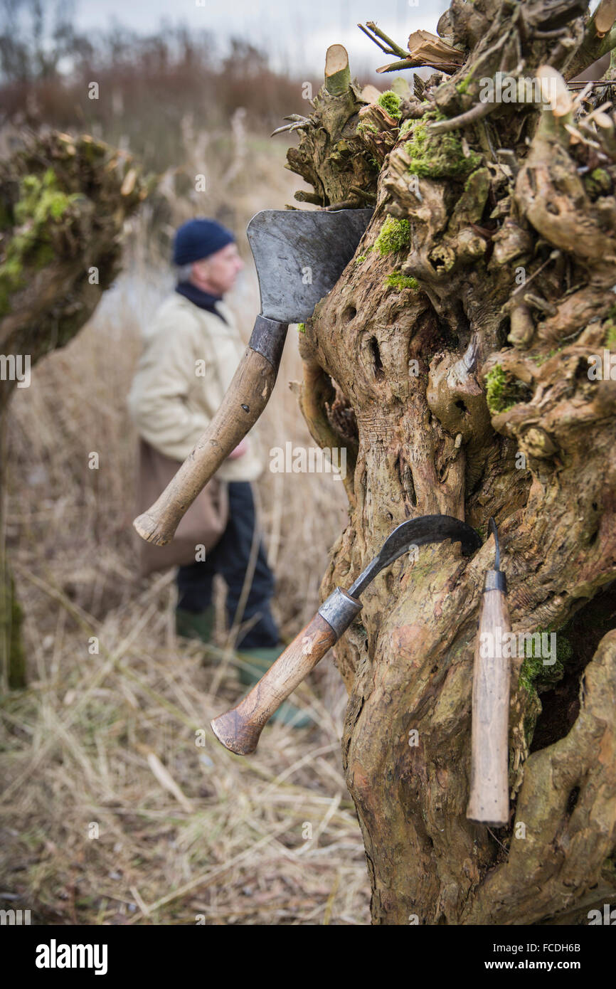 Withy cutter hi-res stock photography and images - Alamy
