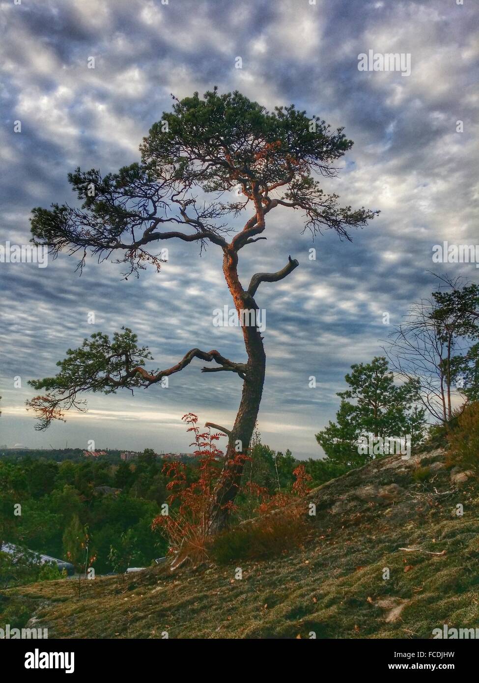 Cloudy day in stockholm hi-res stock photography and images - Alamy