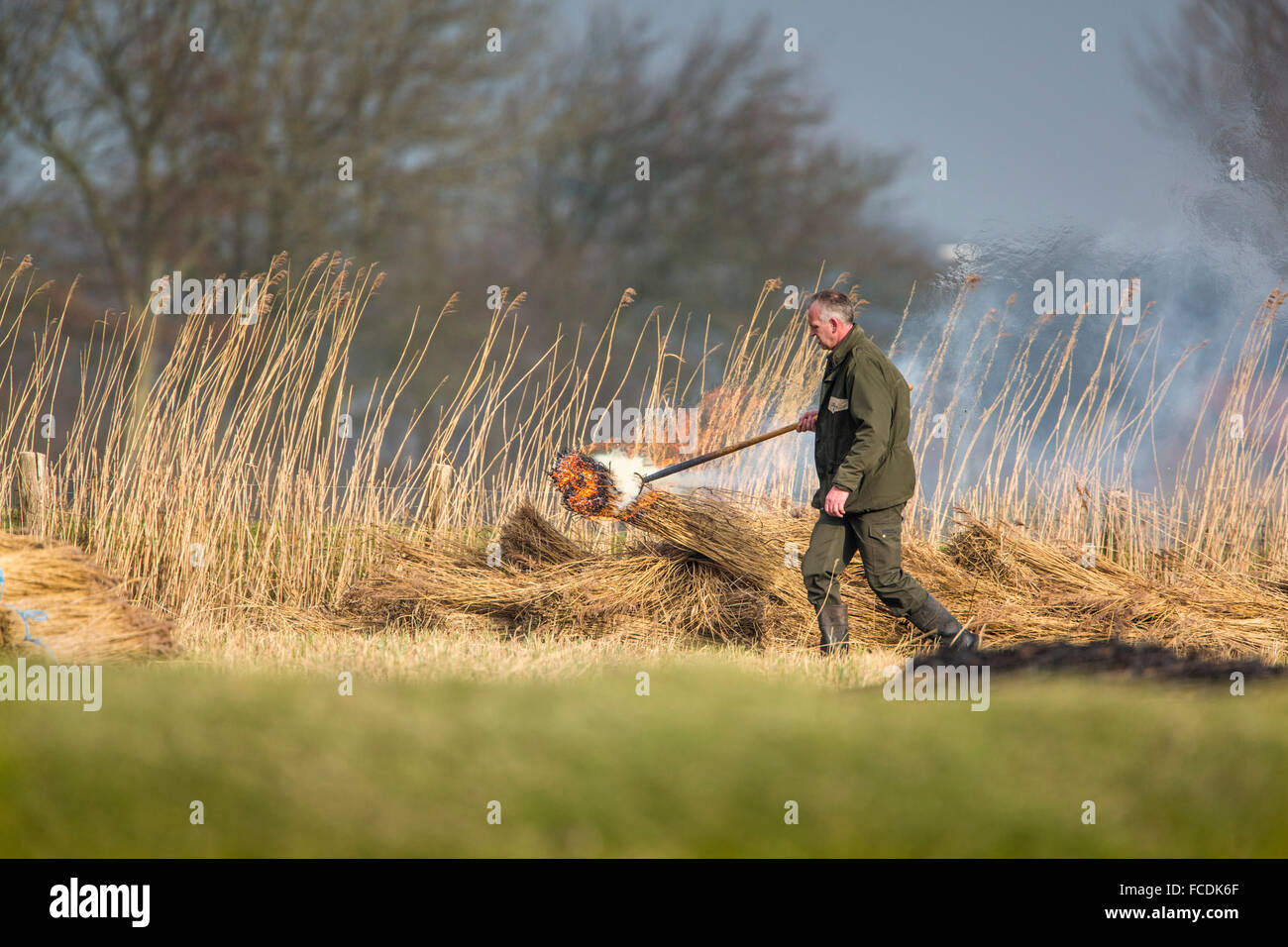 Breeding ground hi-res stock photography and images - Alamy