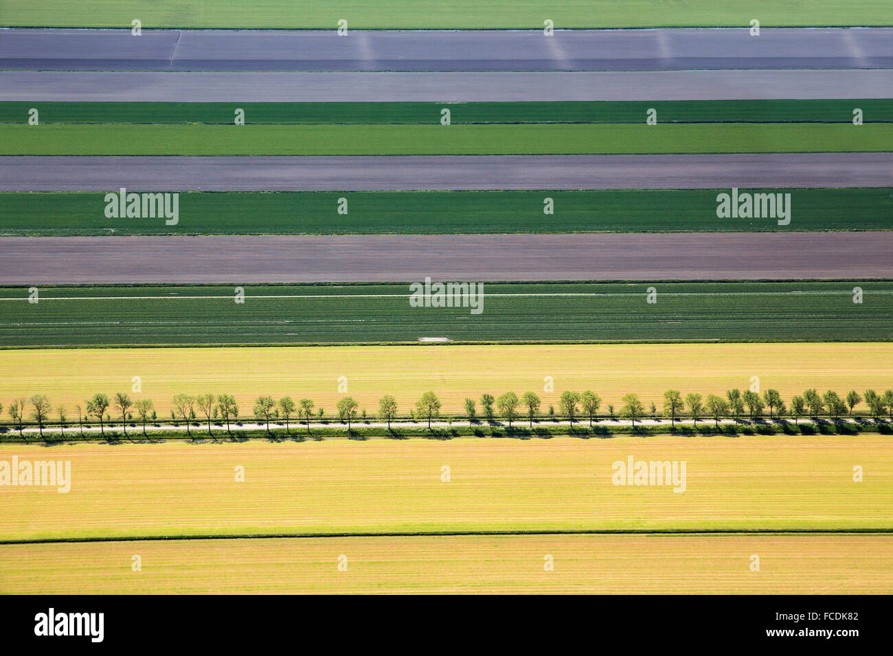 Netherlands, Middenbeemster, Beemster polder. UNESCO World Heritage ...
