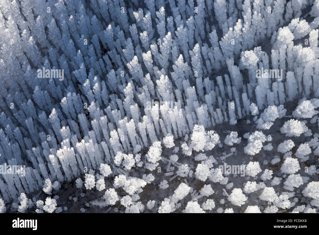 Crystal hoarfrost hi-res stock photography and images - Alamy