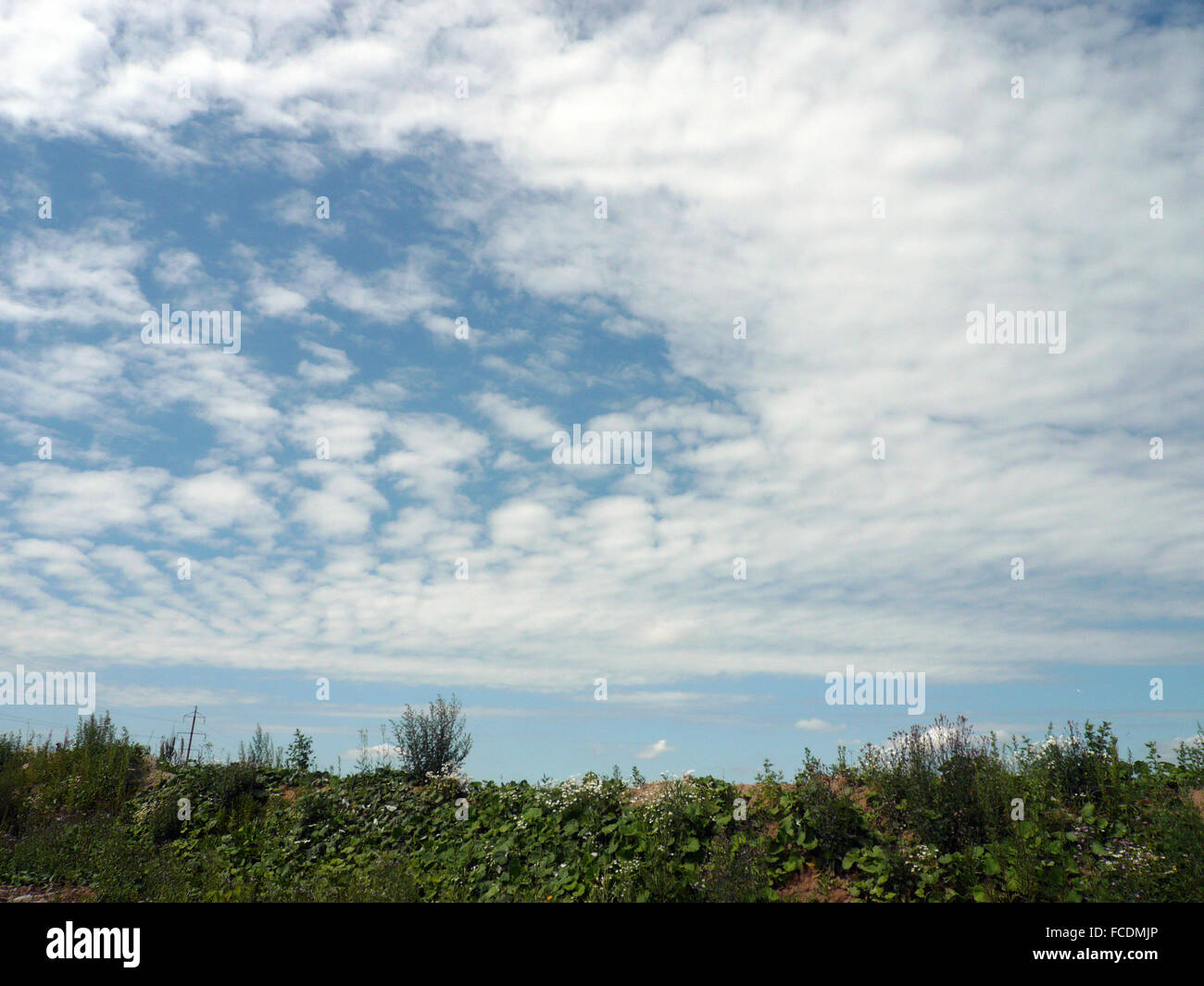 landscape at dry sunny summer day Stock Photo - Alamy