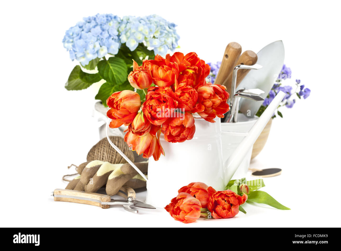 Clean products from the farm Stock Photo - Alamy