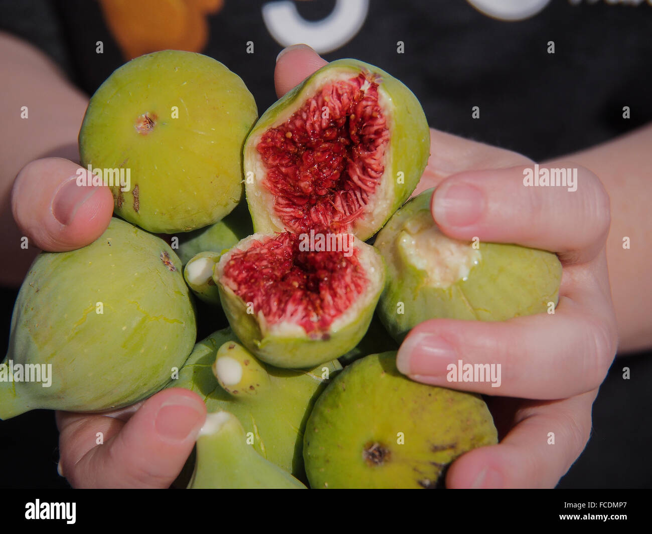 Cropped Image On Woman Holding Green Figs Stock Photo - Alamy