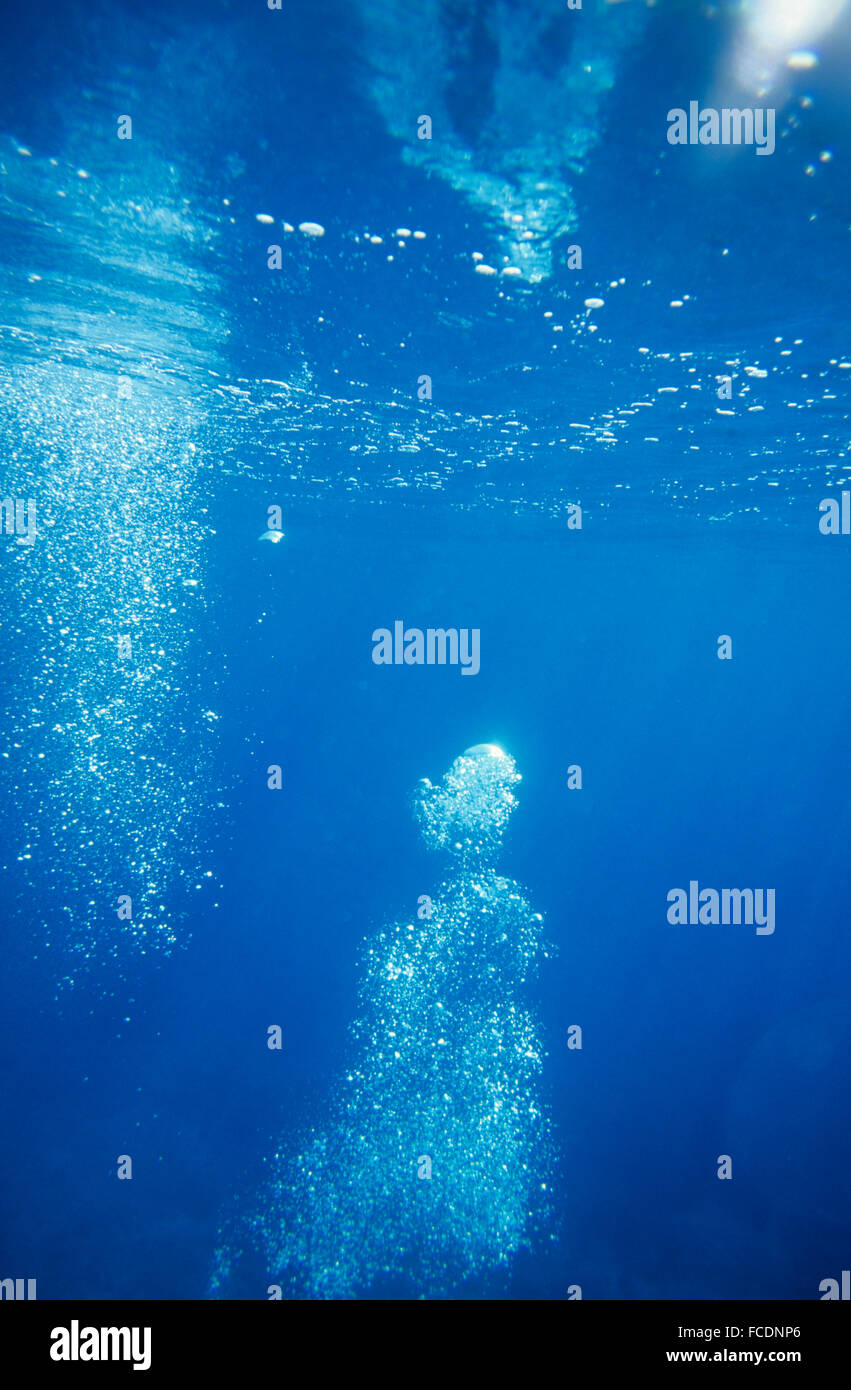 Ascending diver hi-res stock photography and images - Alamy