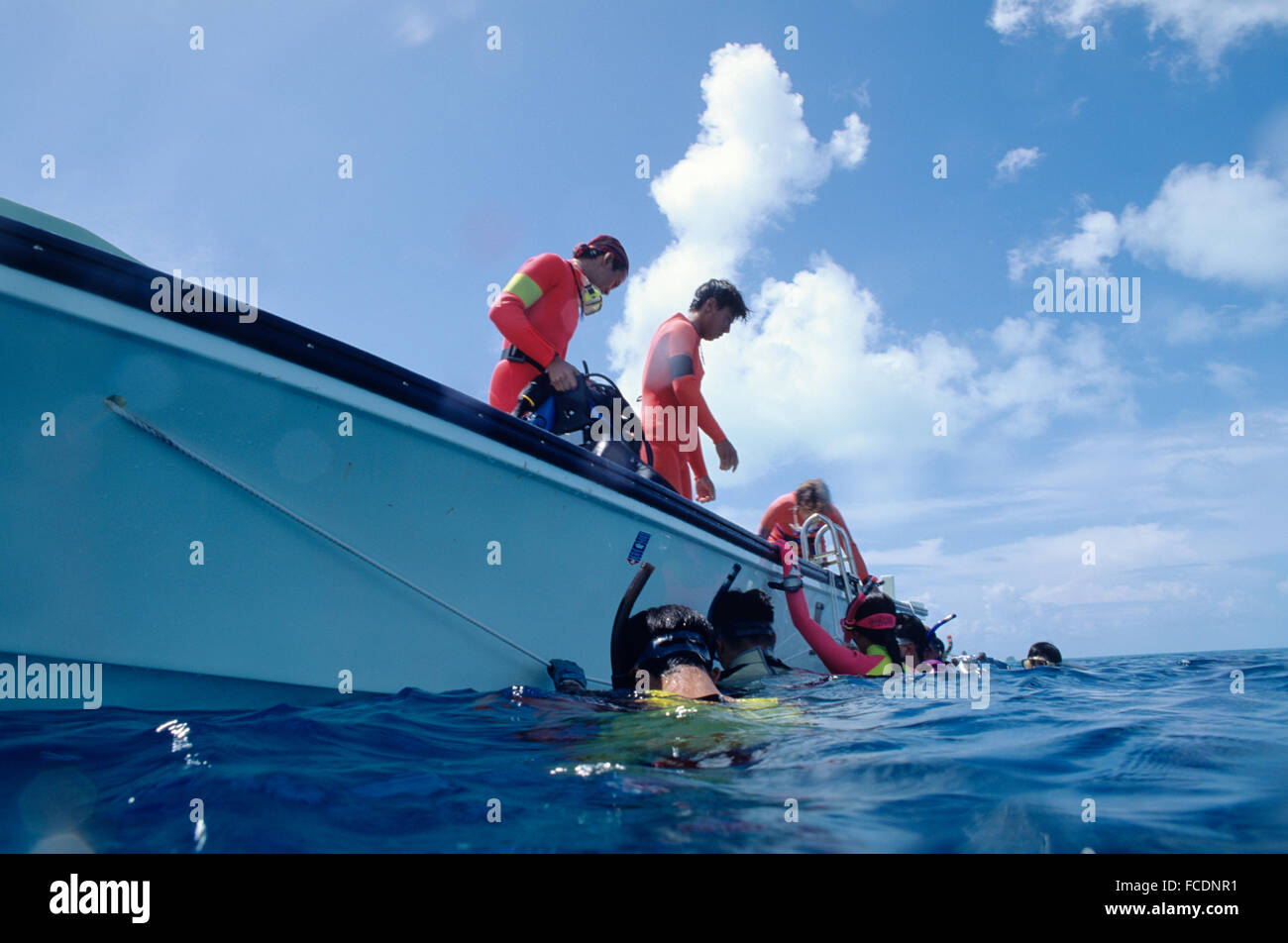 Republic of Palau, Live a board scuba dive operation Stock Photo - Alamy